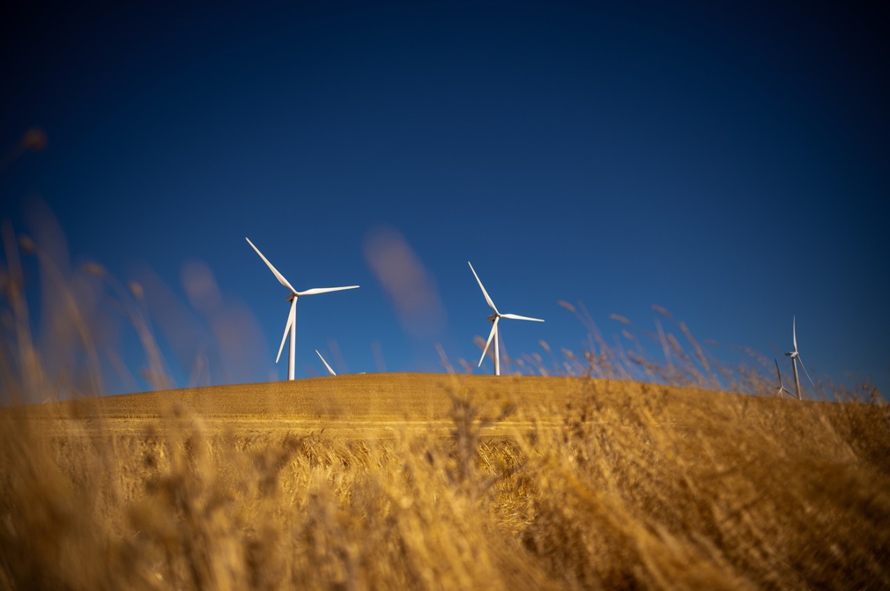 Five renewable energy stocks to watch in 2025 | News Minimalist