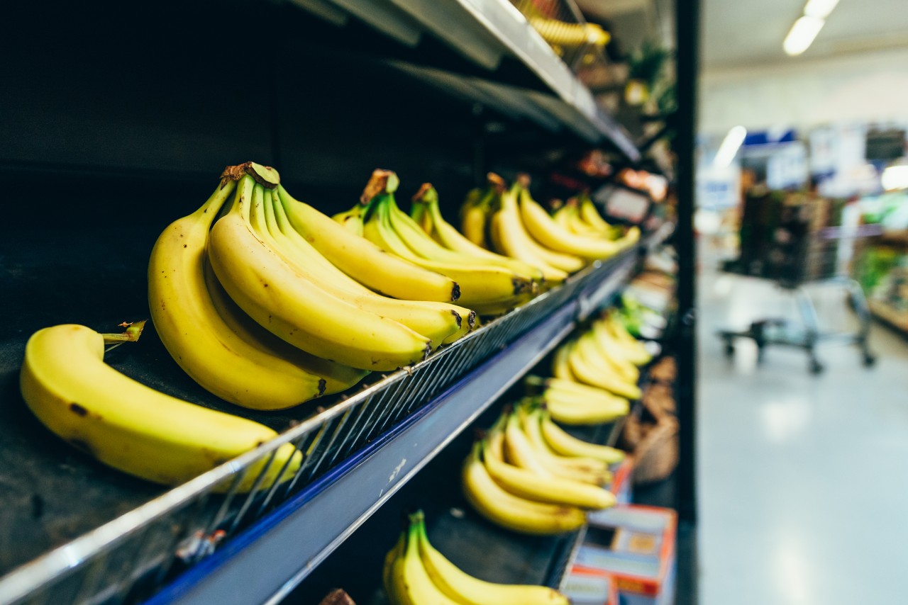 World’s most imported and exported foods: top food trading countries ...